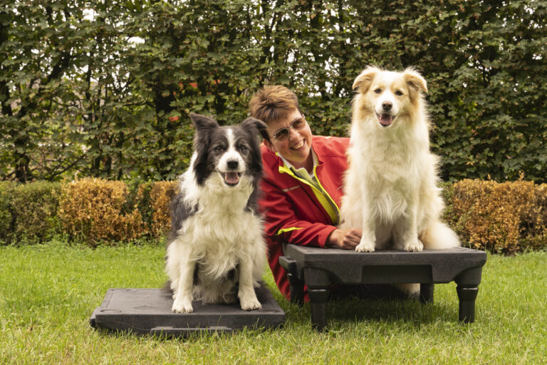 Wie ben ik – Doggy's Paradise